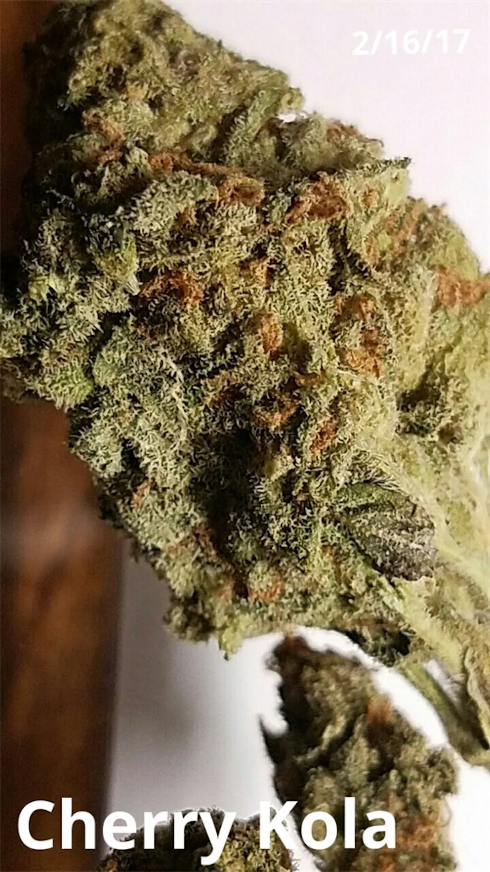 Photos of Cherry Cola Weed Strain Buds | Leafly