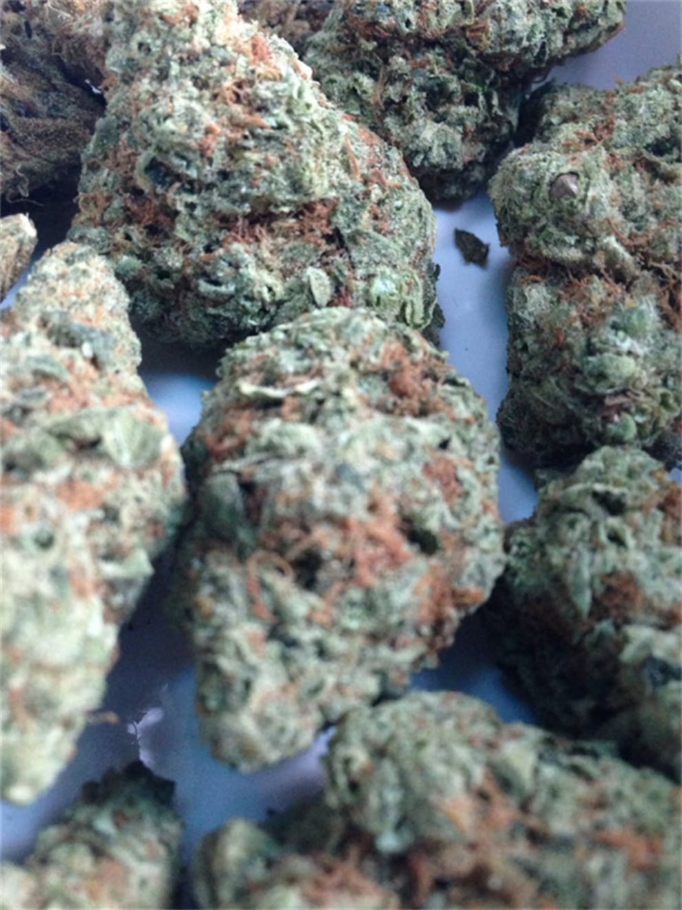 Photos of Cherry OG Weed Strain Buds | Leafly