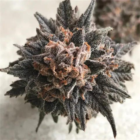 Cherry Pie Weed Strain Information | Leafly