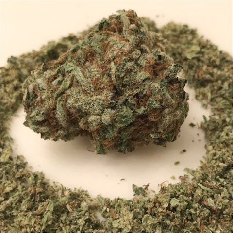 Chocolate Hashberry Weed Strain Information | Leafly