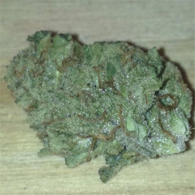 Photos of Chocolate Thai Weed Strain Buds | Leafly