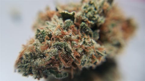 Chronic Thunder aka Kronic Thunder Weed Strain Information | Leafly