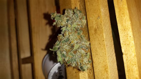 Chronic Weed Strain Information | Leafly