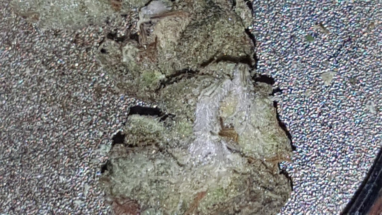 Chronic Weed Strain Information | Leafly