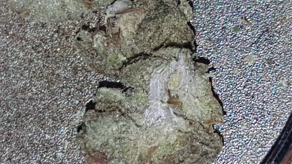 Photos of Chronic Weed Strain Buds | Leafly