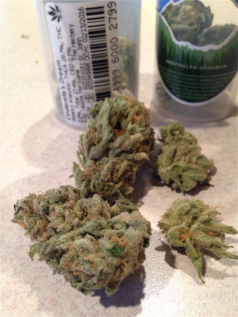 Cinderella's Dream aka Cindy's Dream Marijuana Strain Information | Leafly