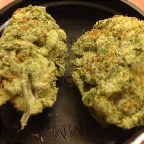 Cinex aka Cenex, Cin Weed Strain Information | Leafly