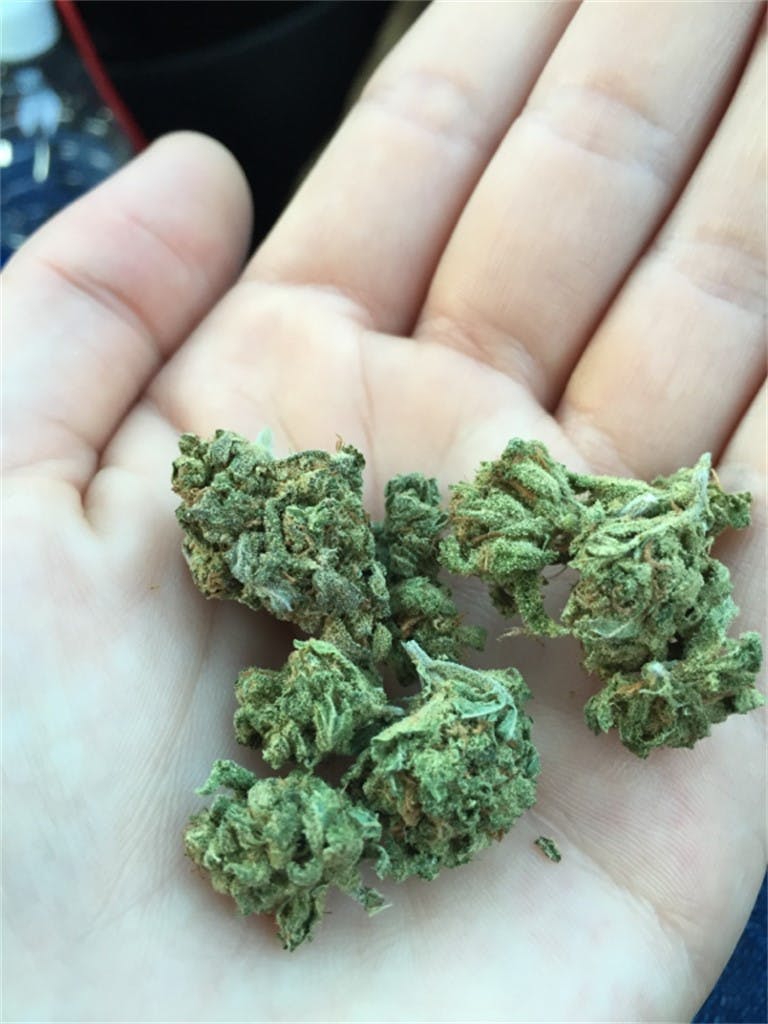 Cluster Bomb Weed Strain Information | Leafly