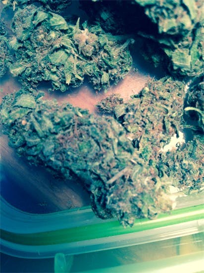 Photos of Colombian Gold Weed Strain Buds | Leafly