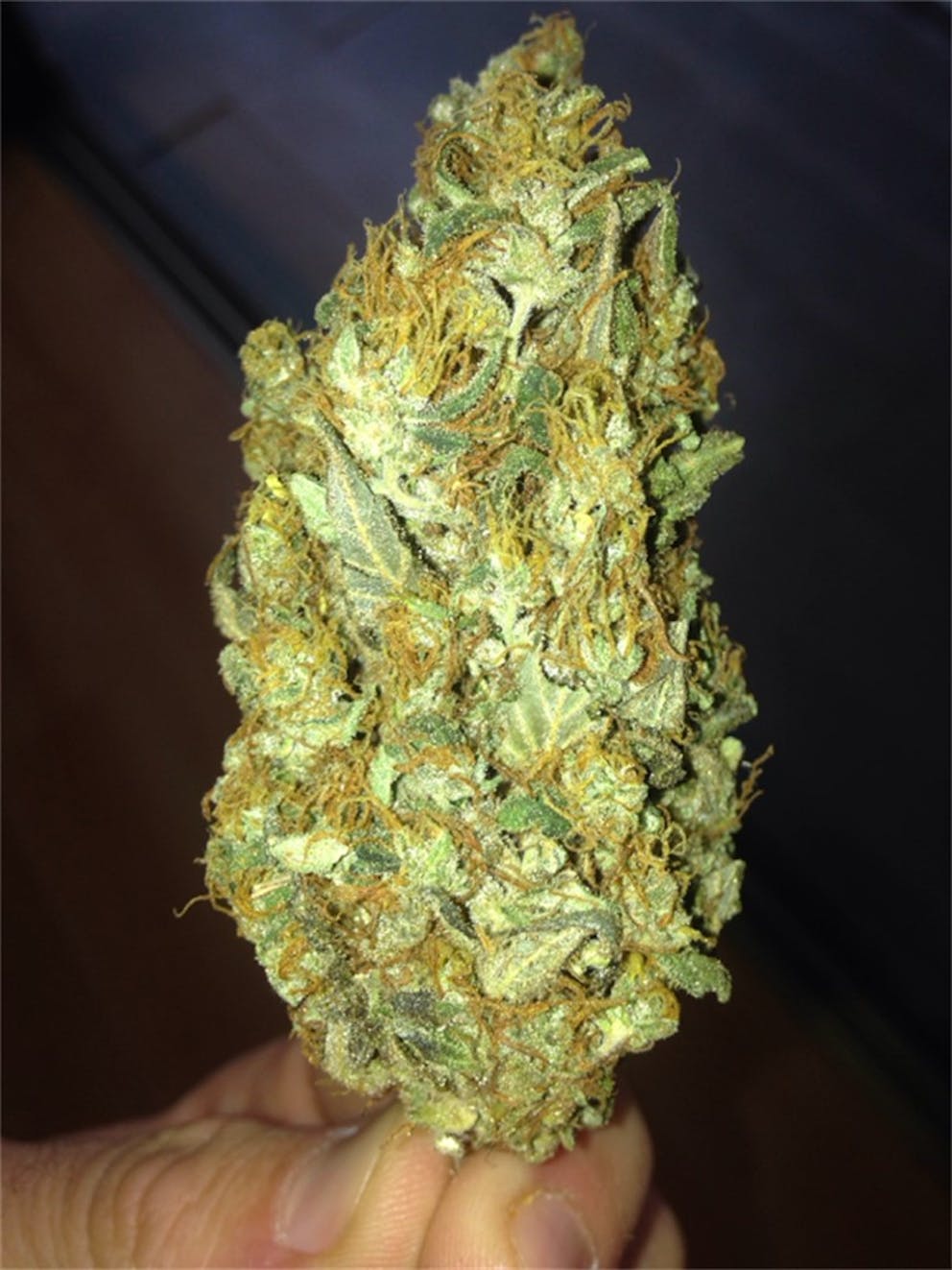 Photos of Colombian Gold Weed Strain Buds | Leafly