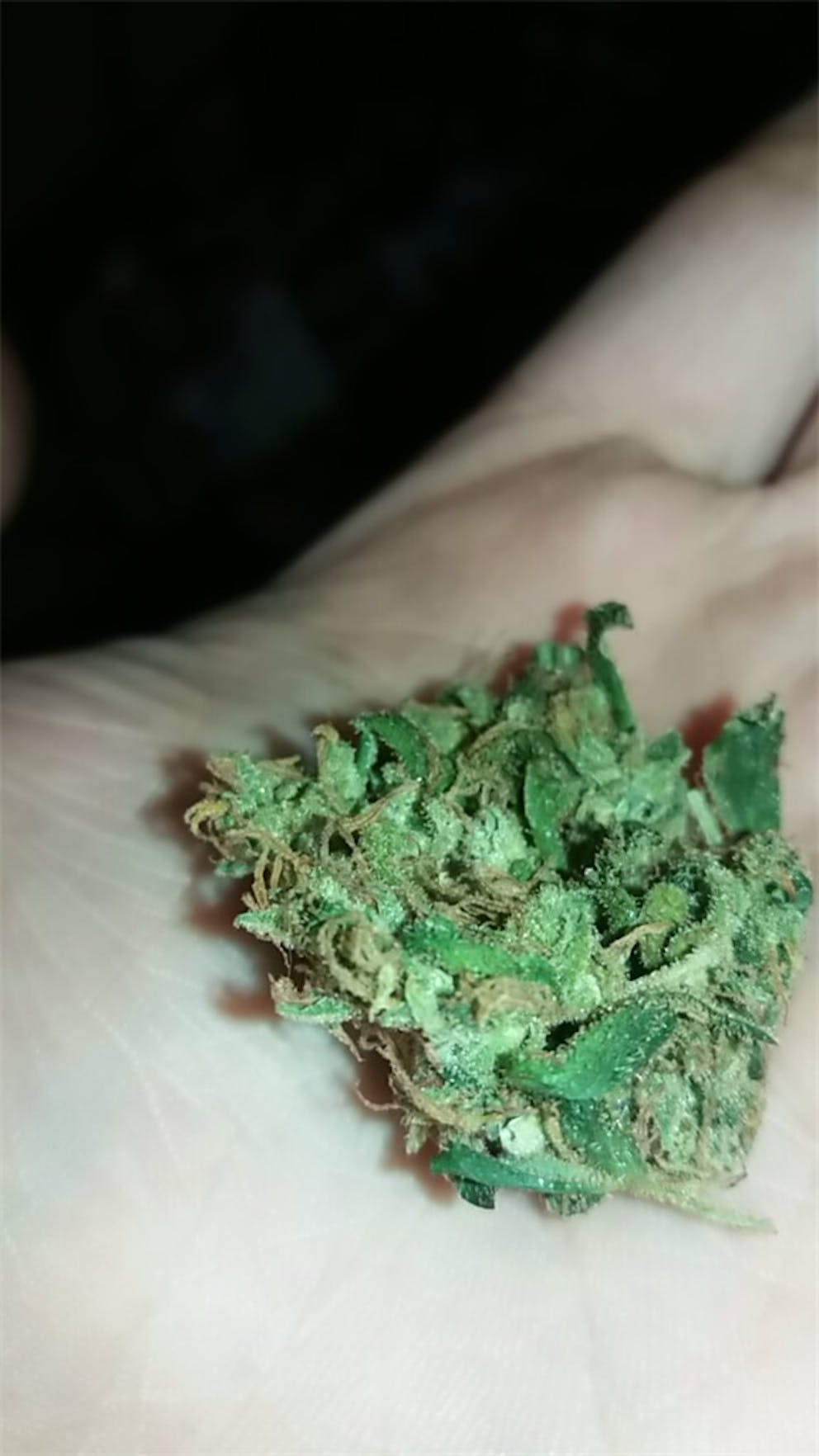 Photos of Colombian Gold Weed Strain Buds | Leafly