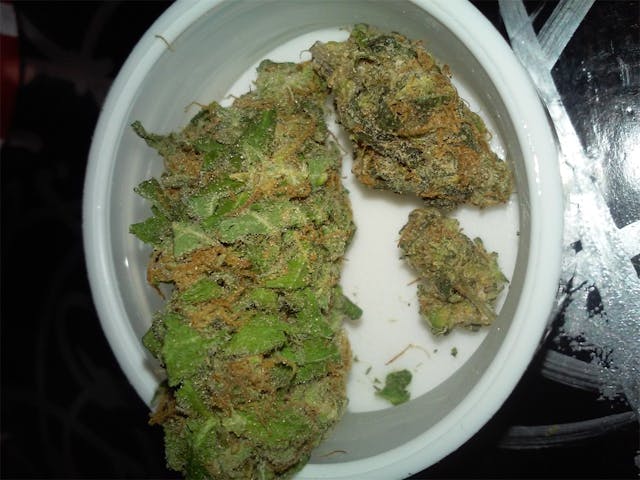 Photos of Colombian Gold Weed Strain Buds | Leafly