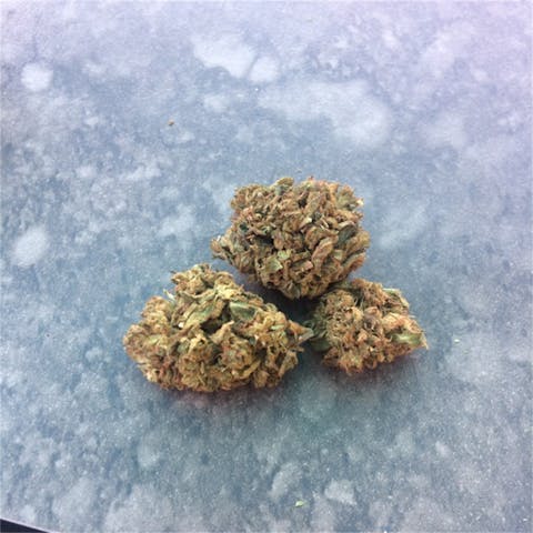 Confidential Cheese Weed Strain Information | Leafly