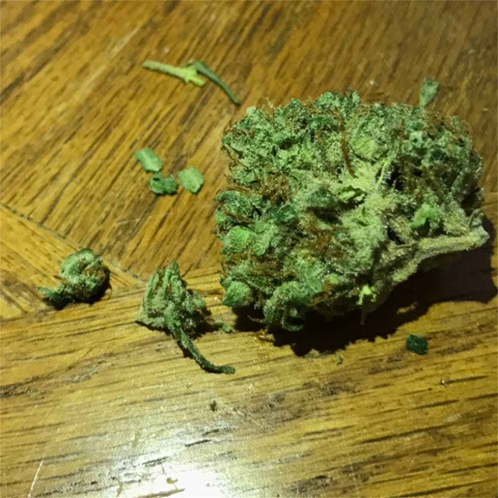 Photos of Confidential Cheese Weed Strain Buds | Leafly