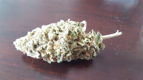 Confidential Cheese Weed Strain Information | Leafly