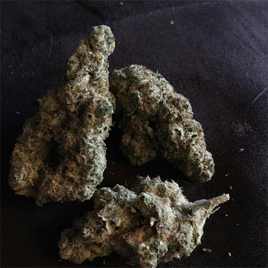 Photos Of Cookies And Cream Weed Strain Buds Leafly