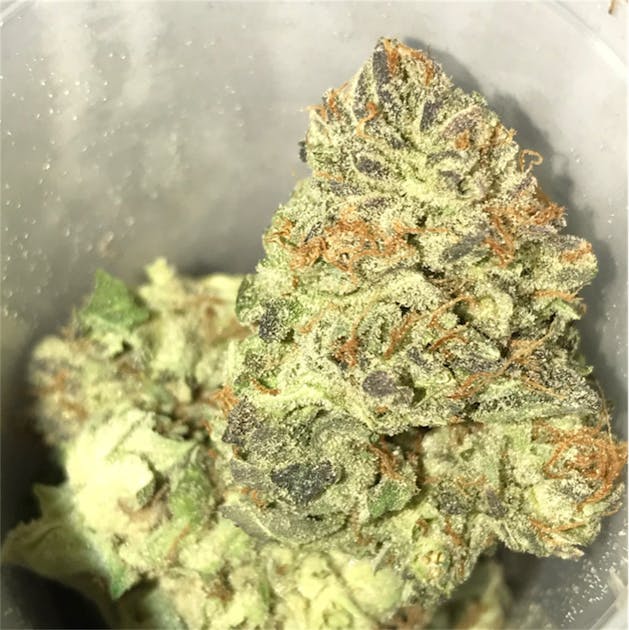 Photos of Corleone Kush Weed Strain Buds | Leafly