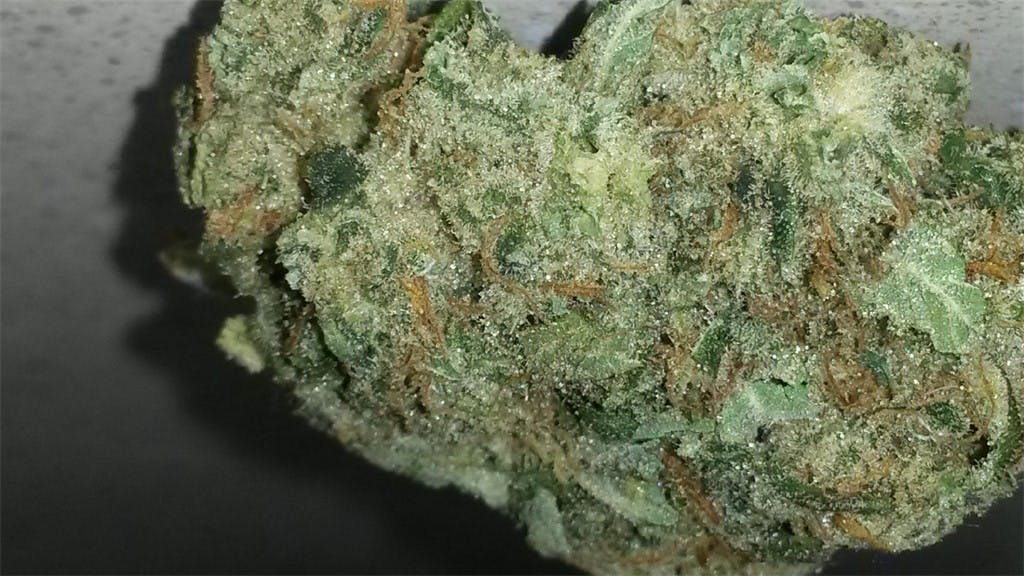 Photos of Critical Cheese Weed Strain Buds | Leafly