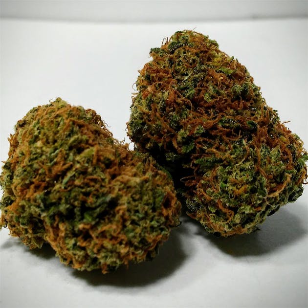 Photos of Critical Hog Weed Strain Buds | Leafly