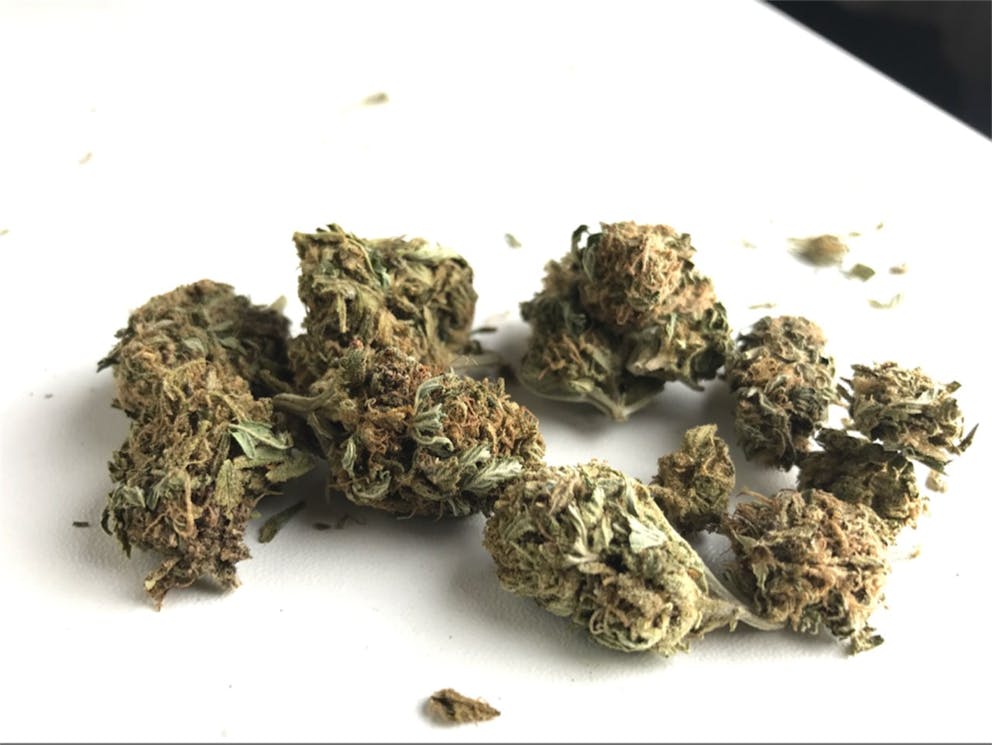 Photos of Critical Plus Weed Strain Buds | Leafly