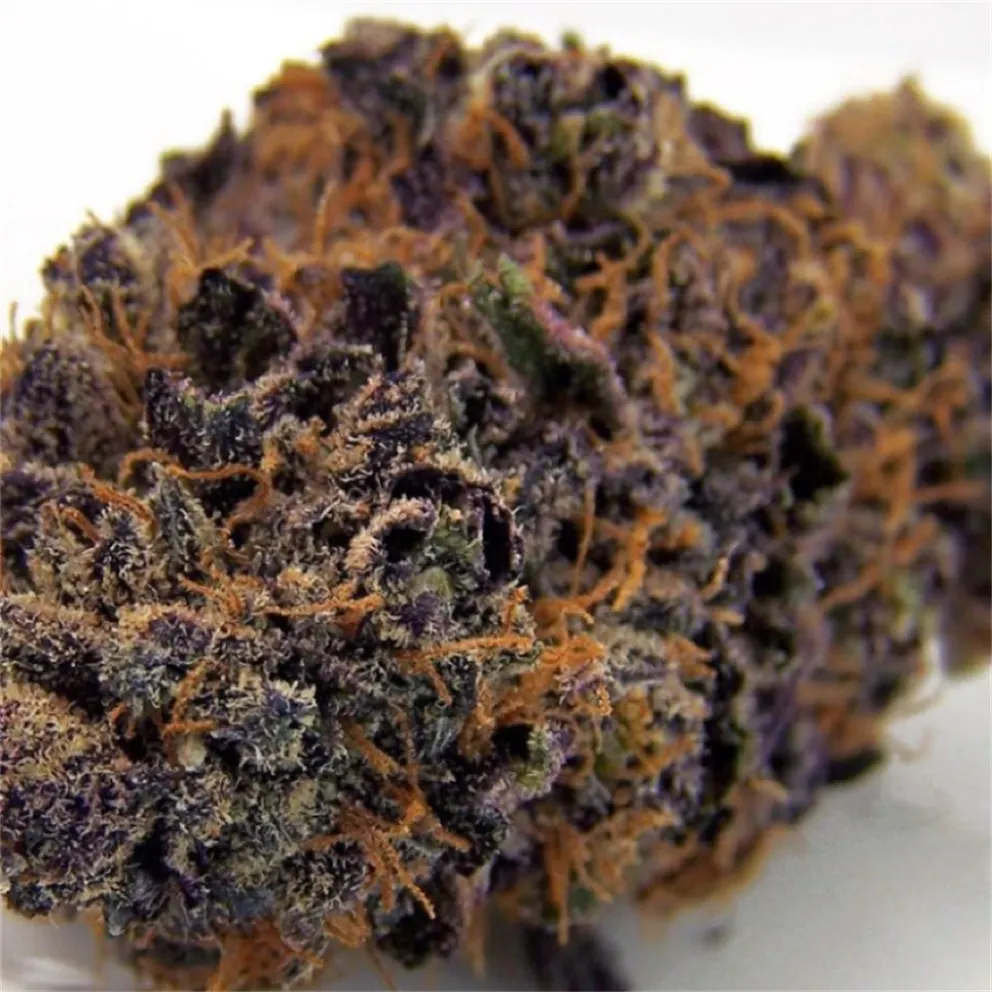 Photos of Dark Star Weed Strain Buds | Leafly