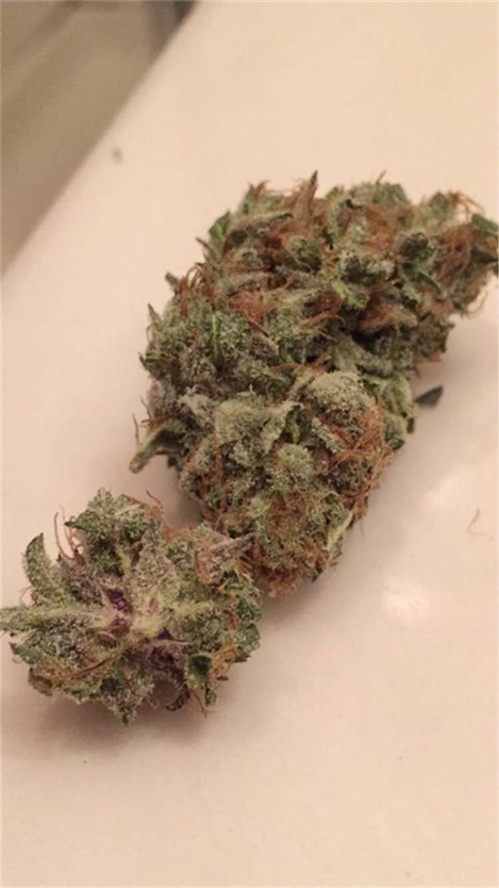 Photos of Deadhead OG Weed Strain Buds | Leafly