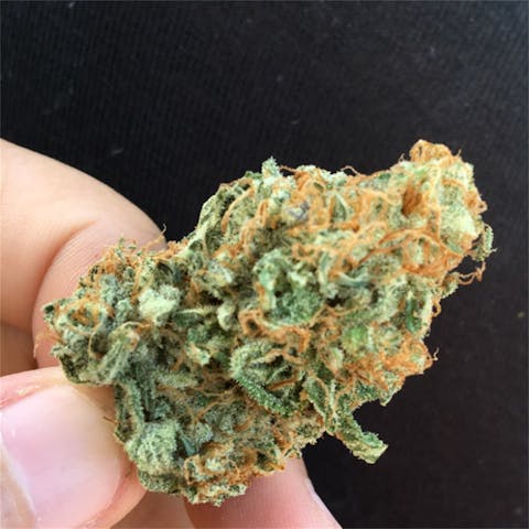 Deadhead OG aka Dead Head, Deadhead, Deadhead OG Kush Weed Strain ...