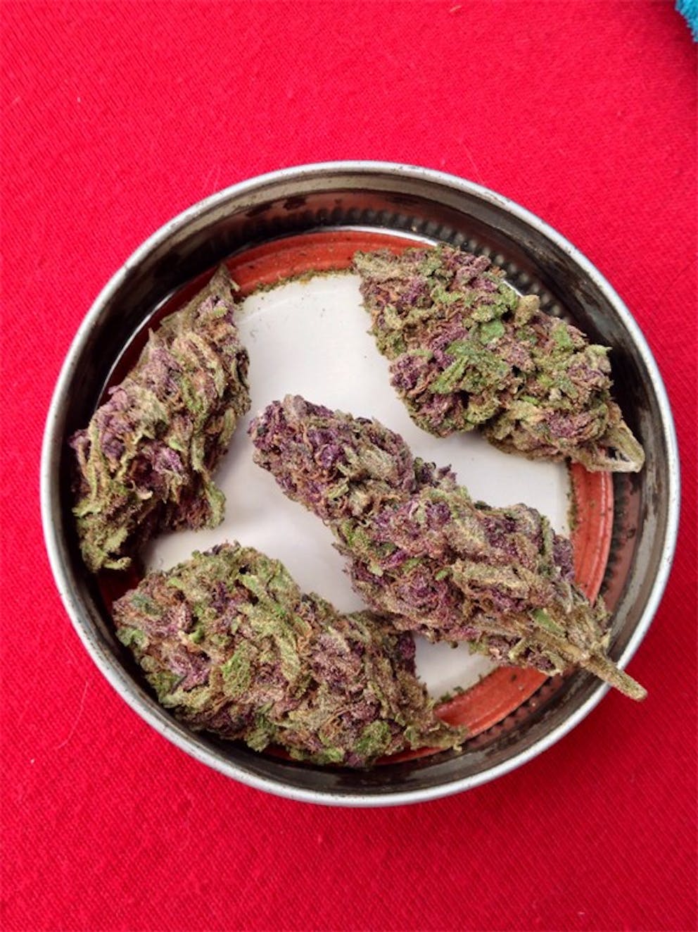 Photos of Deep Purple Weed Strain Buds | Leafly