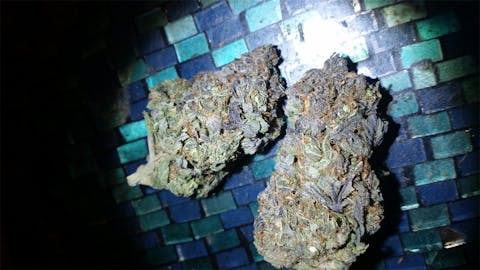 Deep Purple Weed Strain Information | Leafly