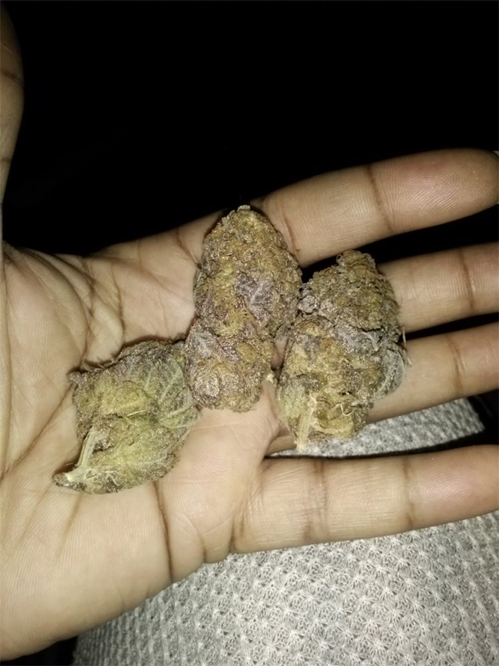 Photos of Deep Purple Weed Strain Buds | Leafly