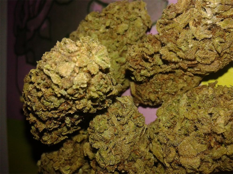 Photos of Diablo Weed Strain Buds | Leafly