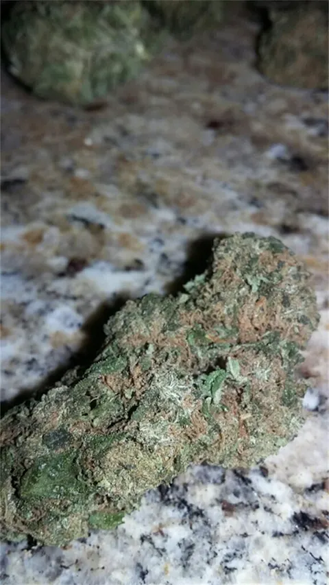 Dirty Girl Weed Strain Information | Leafly
