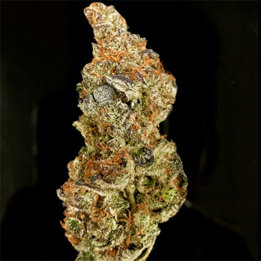 Dosidos aka Dosi, Do-Si-Dos Weed Strain Information | Leafly