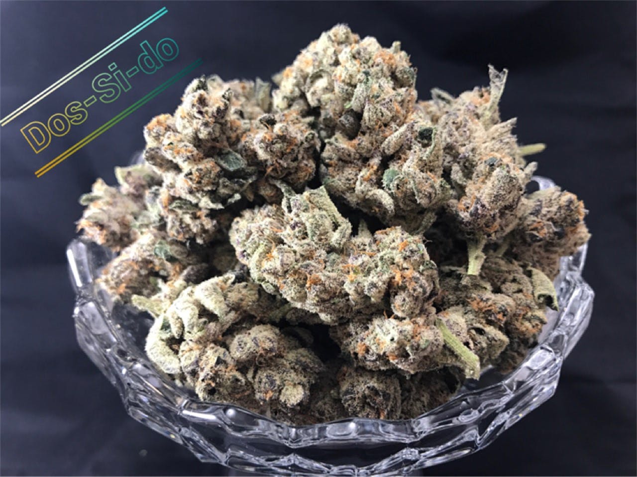 Photos of Do-Si-Dos Weed Strain Buds | Leafly