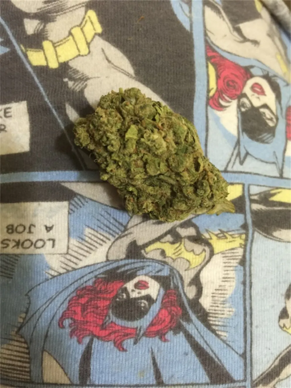 Photos of Dopium Weed Strain Buds | Leafly