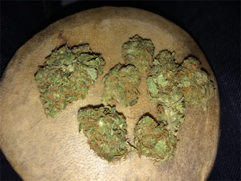 Double Dutch Weed Strain Information | Leafly