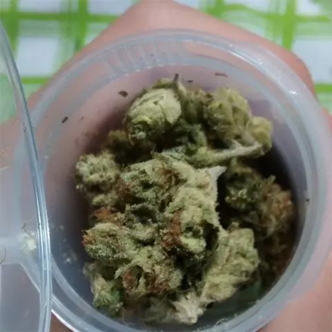 Double OG aka Double OG Kush Weed Strain Information | Leafly