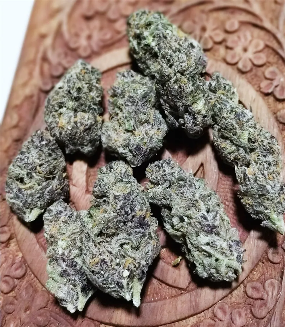 Photos of Dr. Who Weed Strain Buds | Leafly