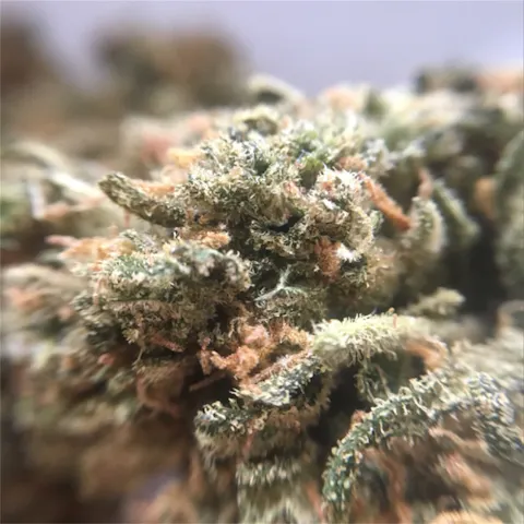 Dream Queen Weed Strain Information | Leafly