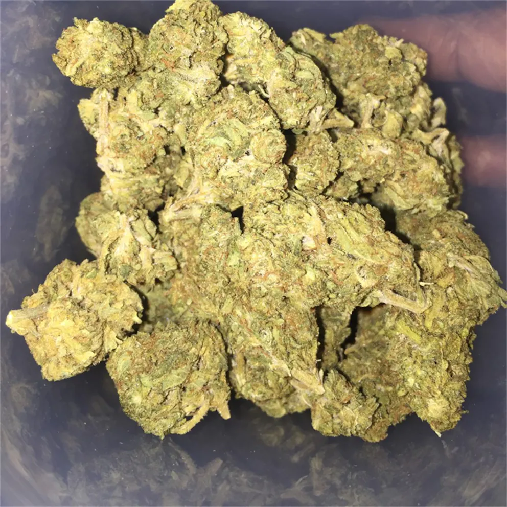Photos of Dream Queen Weed Strain Buds | Leafly