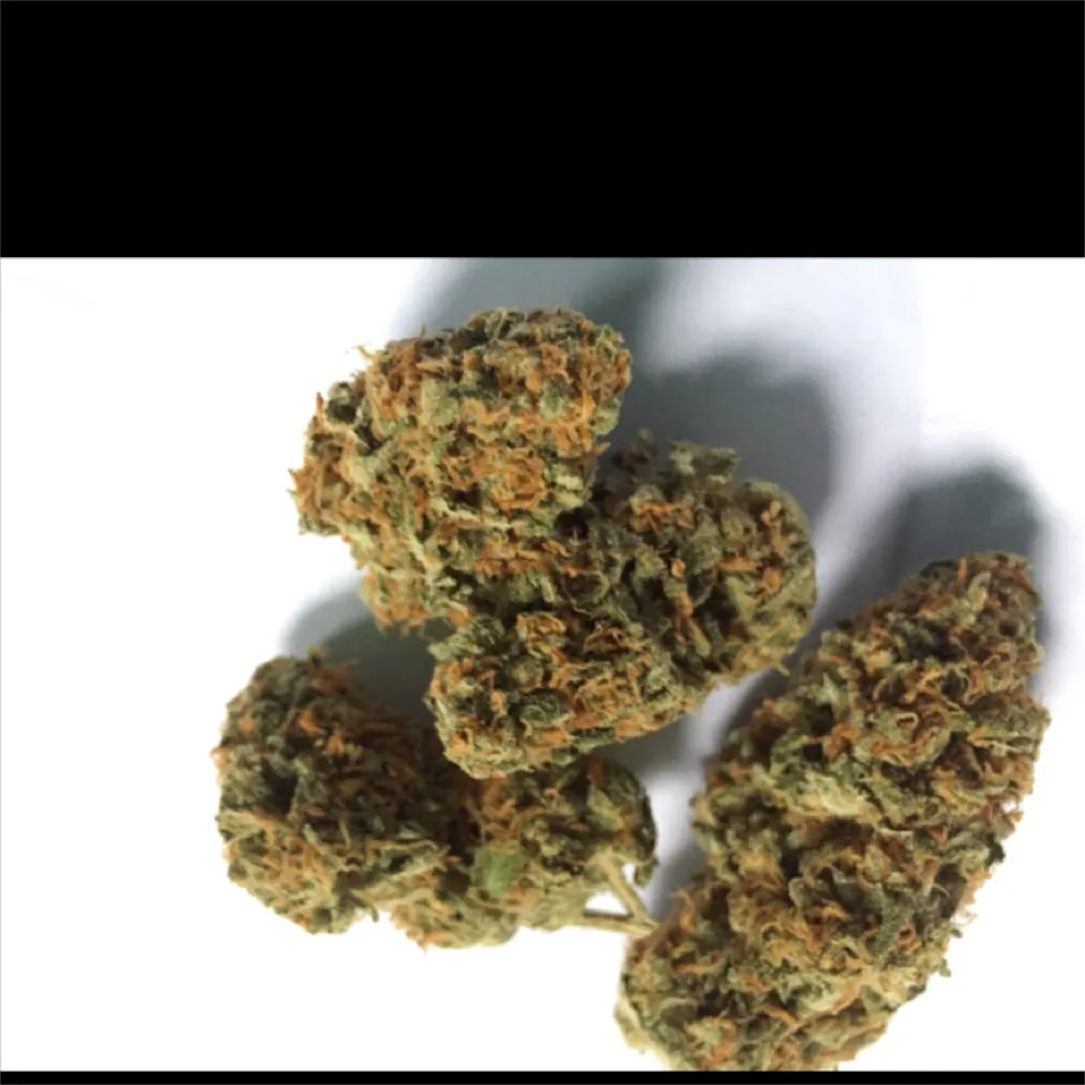 Photos of Dream Queen Weed Strain Buds | Leafly