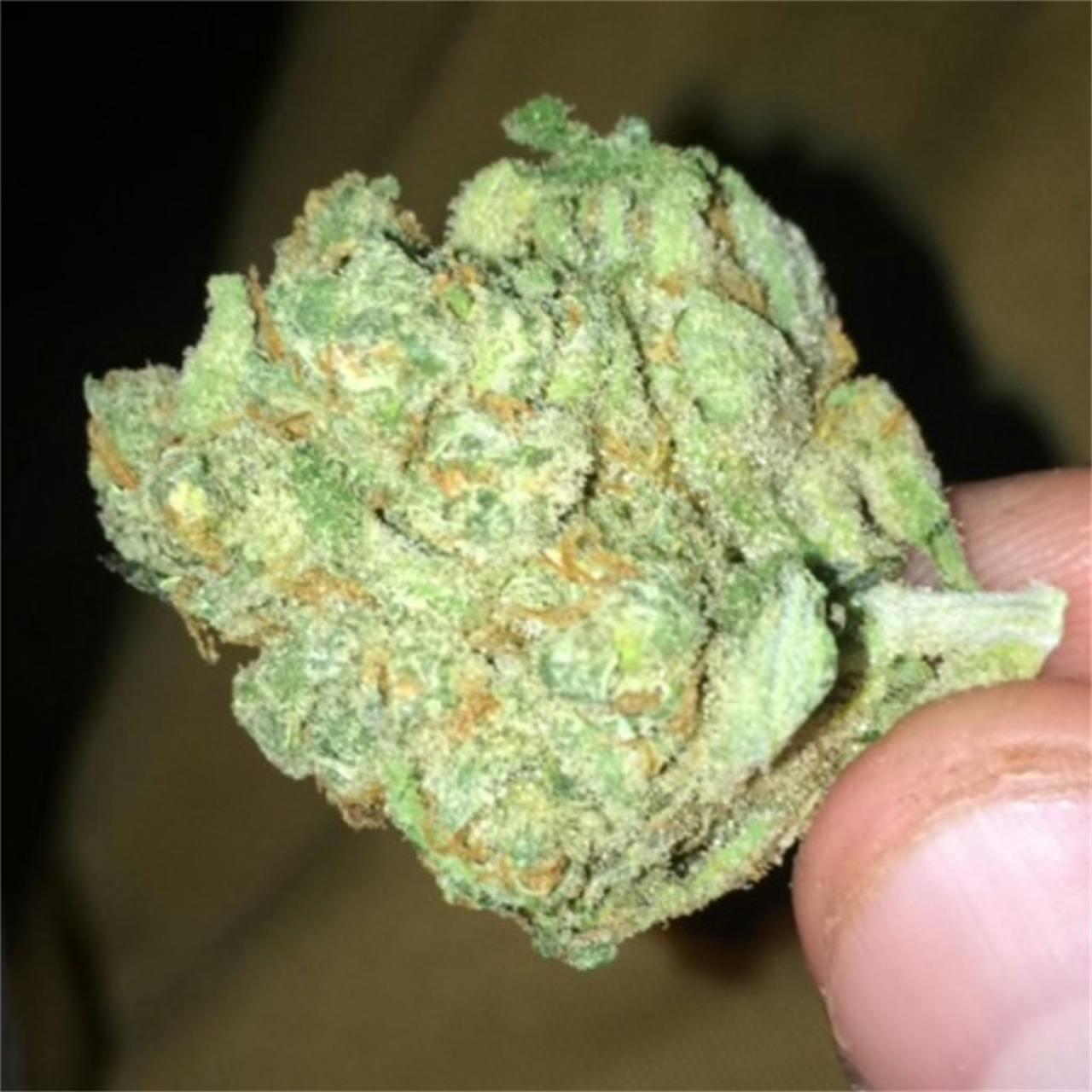 Photos of Durban Poison Weed Strain Buds | Leafly