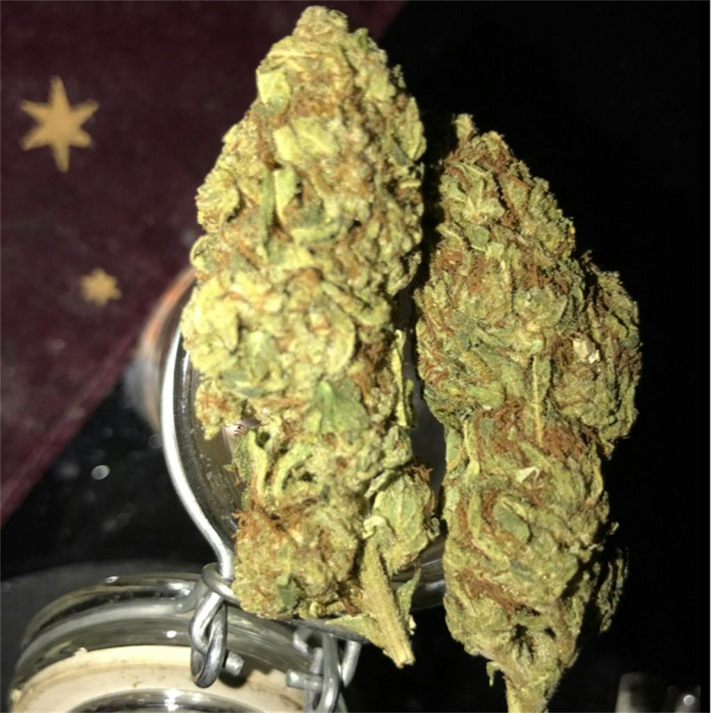 Photos of Durban Poison Weed Strain Buds | Leafly