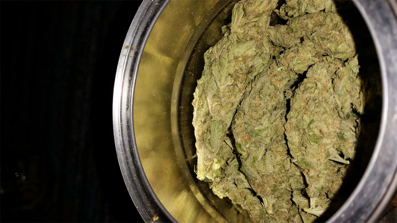 Photos of Durban Poison Weed Strain Buds | Leafly