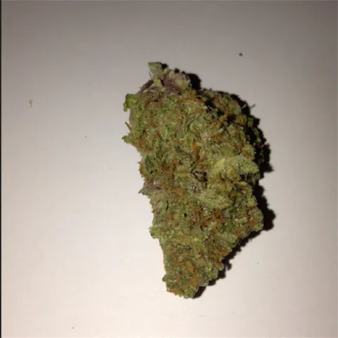 Dutch Dragon Weed Strain Information | Leafly