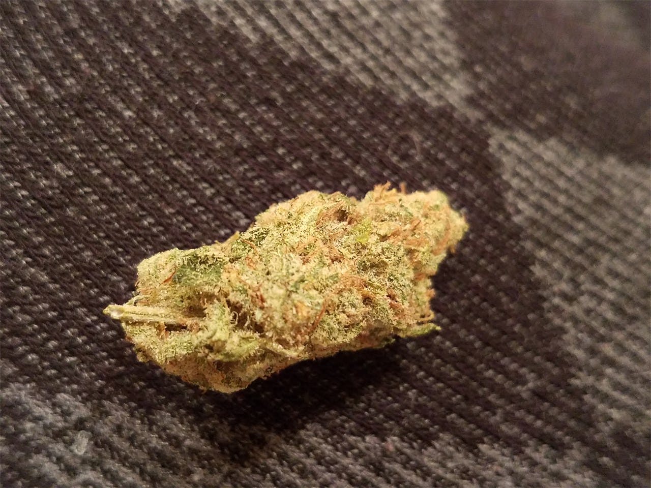 Photos of Dutch Treat Weed Strain Buds | Leafly