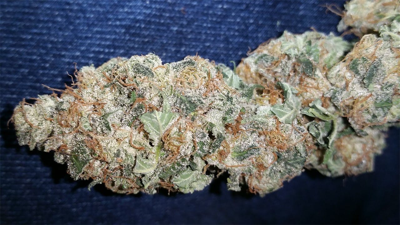 Dynamite Weed Strain Information | Leafly