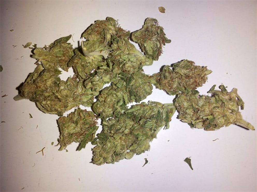 Photos of ECSD Weed Strain Buds | Leafly