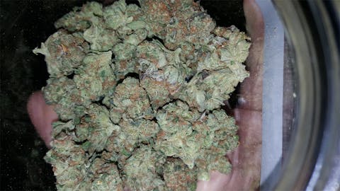 ECSD aka East Coast Sour Diesel Weed Strain Information | Leafly