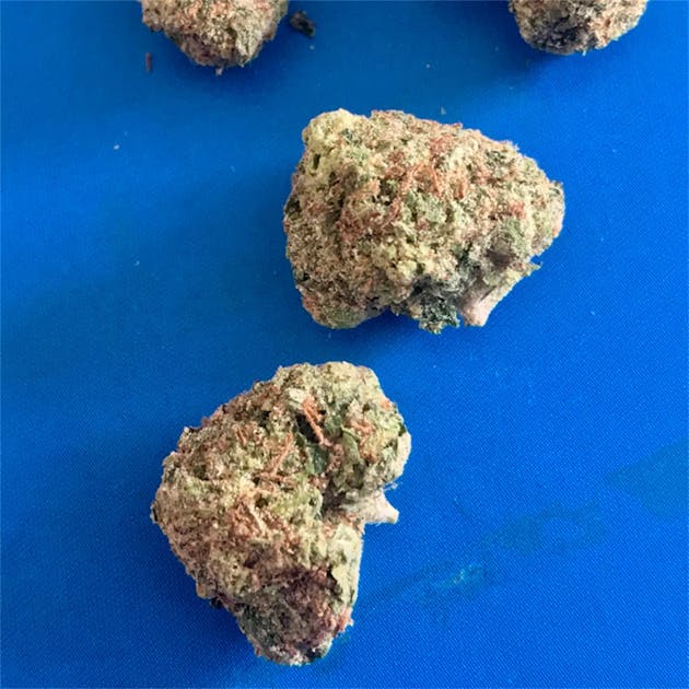Photos of El Jefe Weed Strain Buds | Leafly